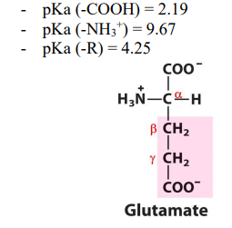 Solved 21. Glutamate has THREE ionizable groups which have | Chegg.com