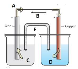 Solved Label and explain in details the following diagram | Chegg.com