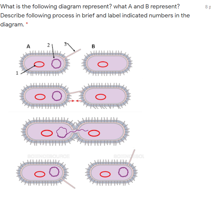 Solved 8p What is the following diagram represent? what A | Chegg.com