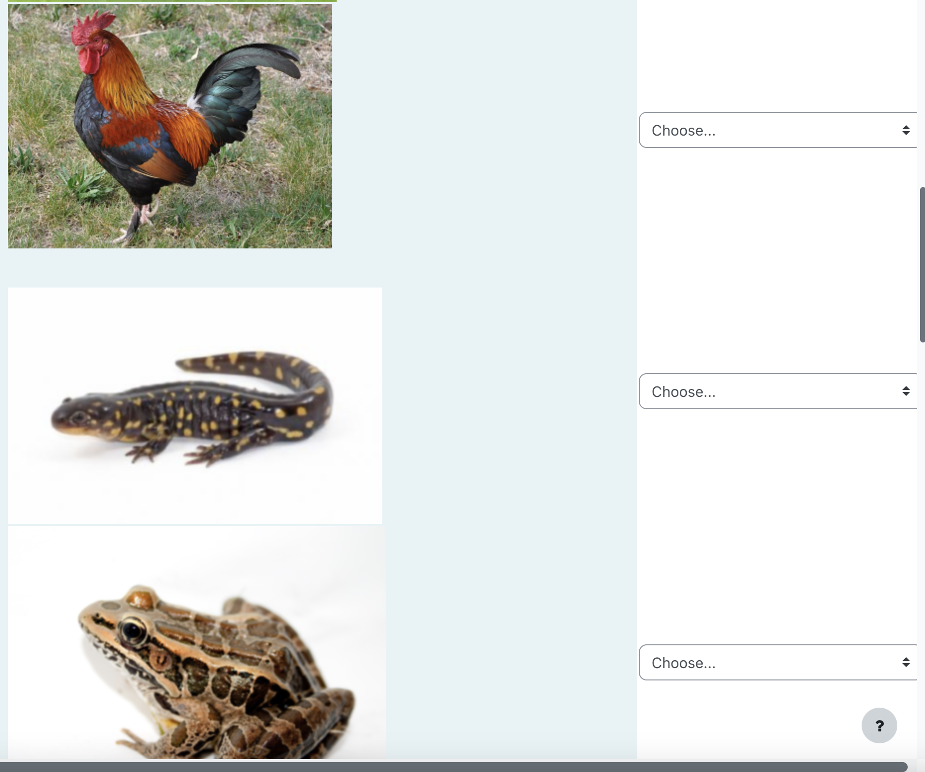 Solved Choose... Choose... Choose... ?Choose... Choose... | Chegg.com