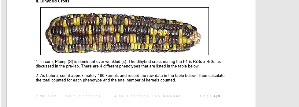 II. Dihybrid Cross 1. In corn, Plump (S) is dominant | Chegg.com