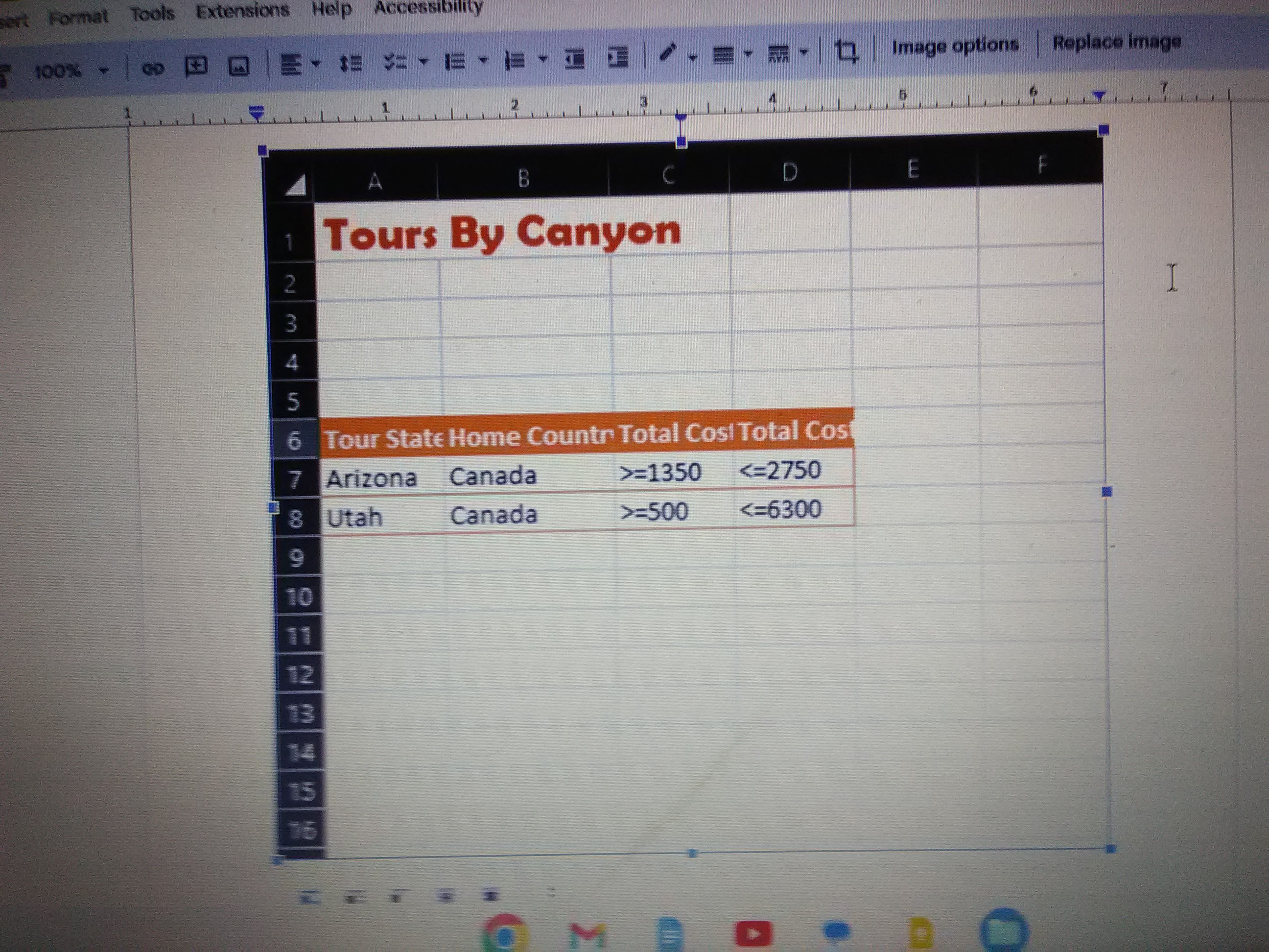 1. Click the Advanced Filter sheet. Using the | Chegg.com