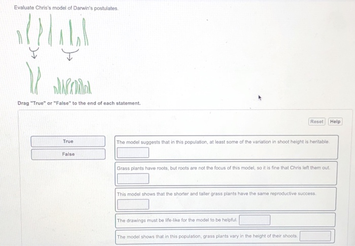 Solved Evaluate Chris's model of Darwin's postulates. Drag | Chegg.com