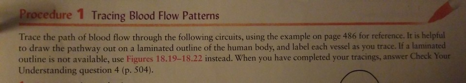 Procedure 1 Tracing Blood Flow Patterns Trace the | Chegg.com