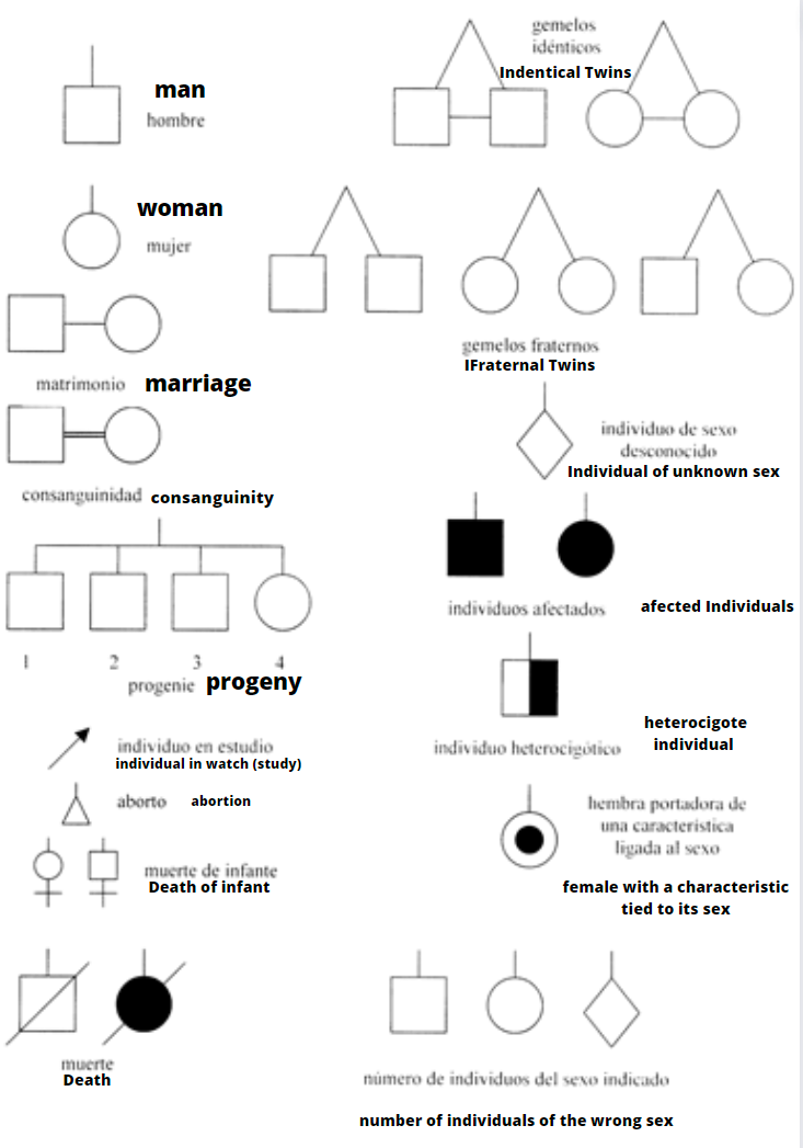 Solved 1. Identify the type of inheritance that best | Chegg.com