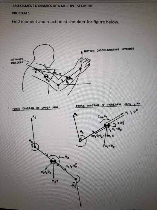 ASSESSSMENT DYNAMICS OF A MULTIPLE SEGMENT PROBLEM 1 | Chegg.com