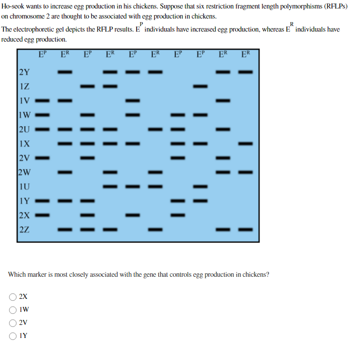 Solved Ho-seok wants to increase egg production in his | Chegg.com
