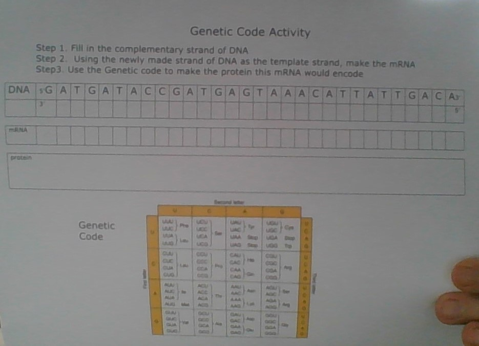 Solved Genetic Code Activity Step 1. Fill in the | Chegg.com