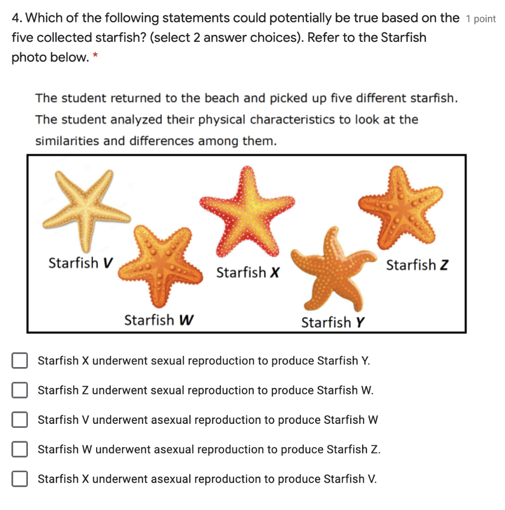 Starfish Reproduction