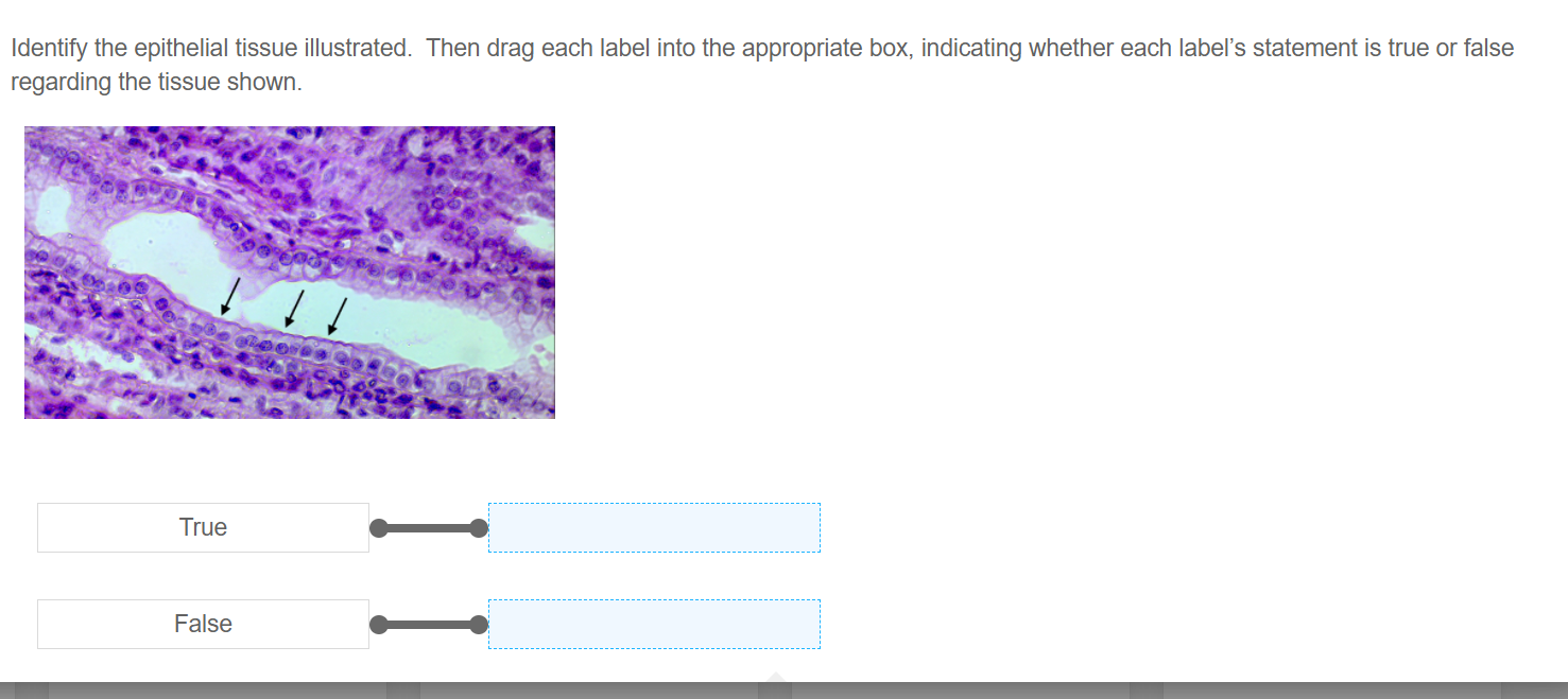 Solved = Provides fast acting communication between body | Chegg.com