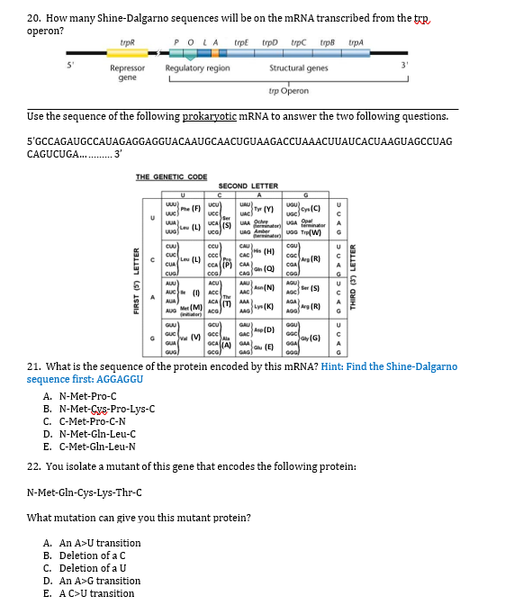 Solved Need answers for Practice EXAM 3:19. | Chegg.com