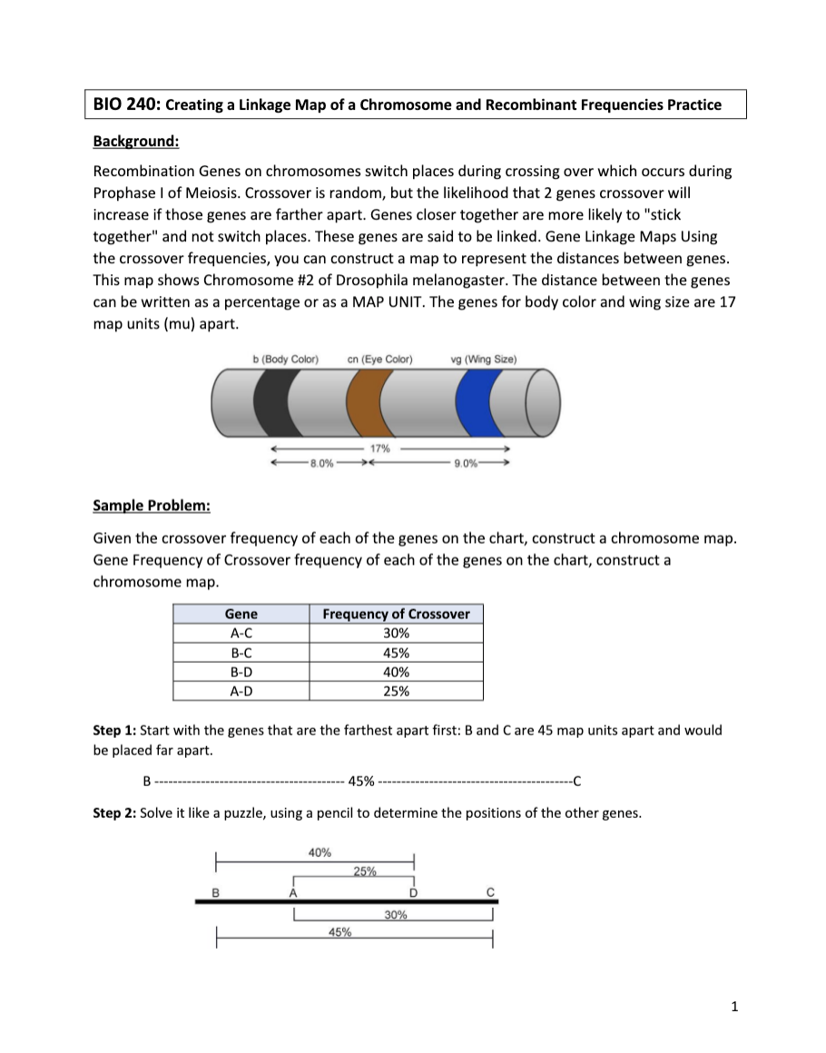 BIO 240: Creating a Linkage Map of a Chromosome and | Chegg.com