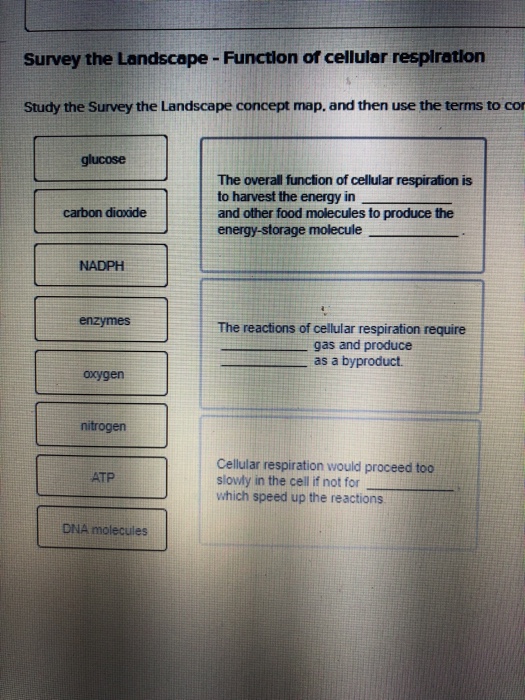 Solved Survey the Landscape - Function of cellular | Chegg.com