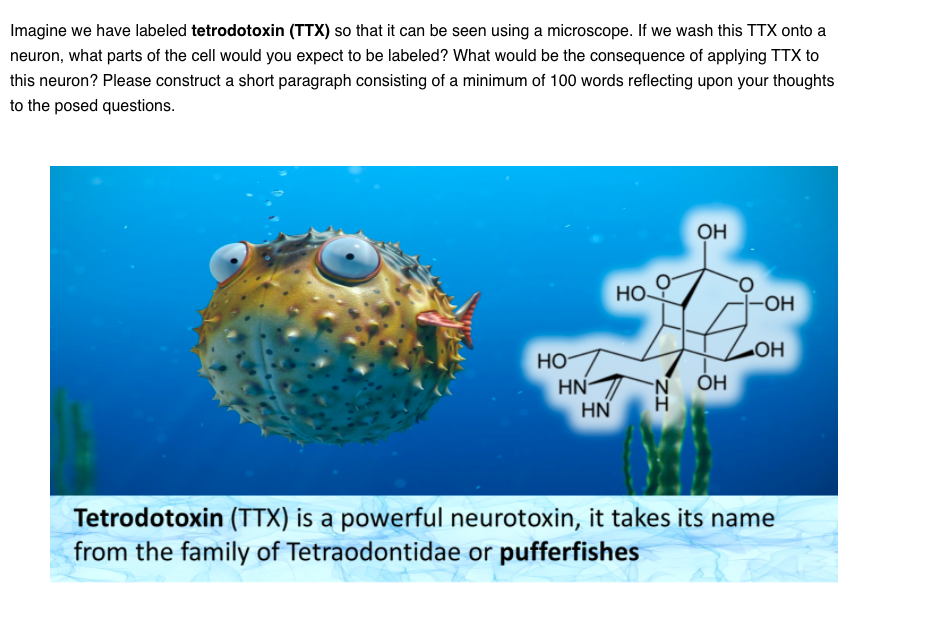 Solved Imagine we have labeled tetrodotoxin (TTX) so that it | Chegg.com