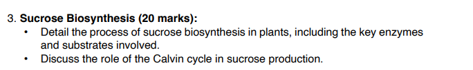 Solved Sucrose Biosynthesis (20 ﻿marks):Detail the process | Chegg.com