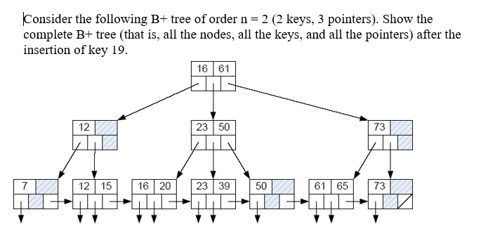 Solved Consider the following B+ tree of order n- 2 (2 keys, | Chegg.com