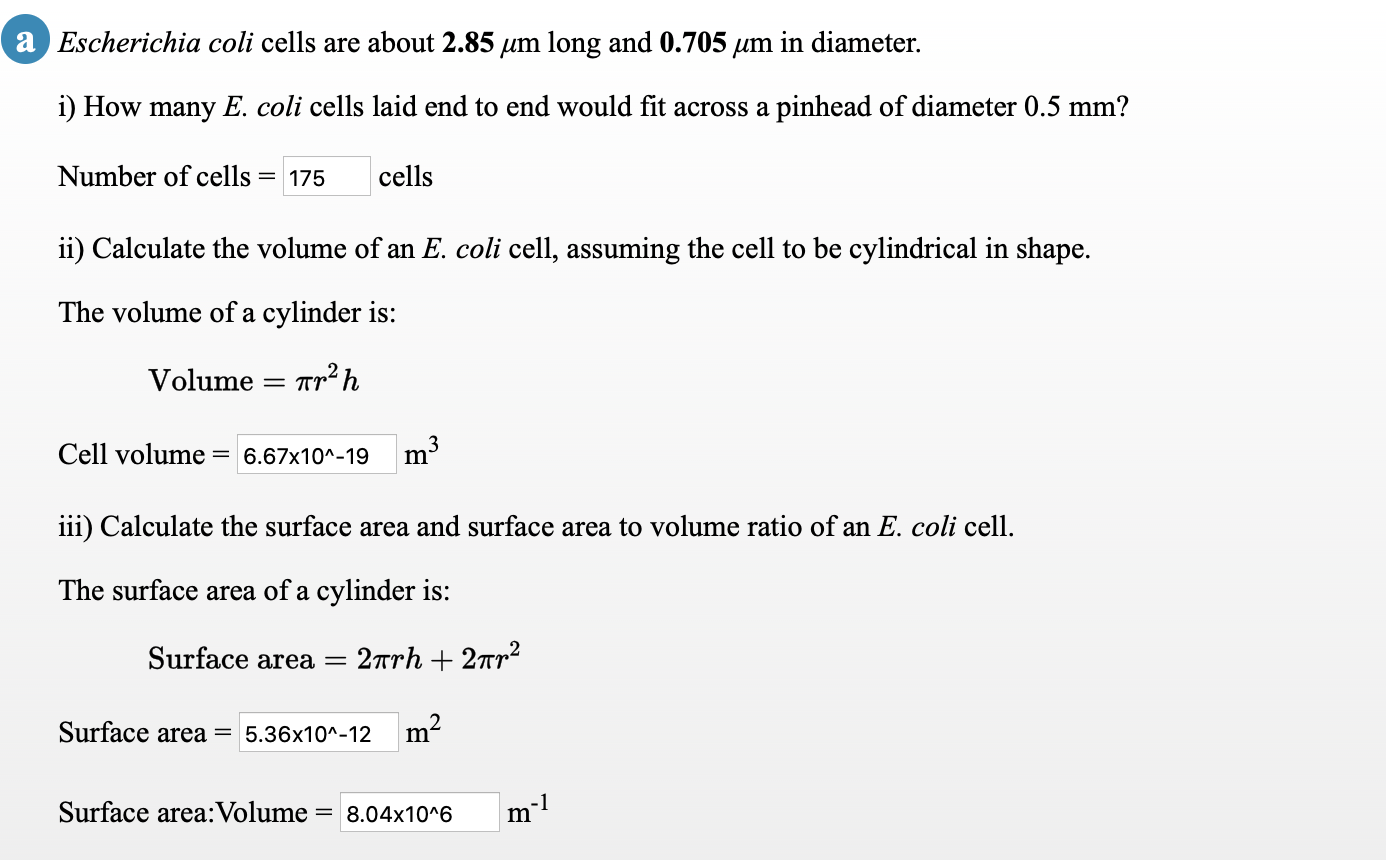 Solved a Escherichia coli cells are about 2.85 um long and | Chegg.com