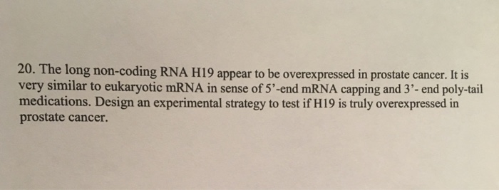 Solved The long non-coding RNA H19 appear to be | Chegg.com