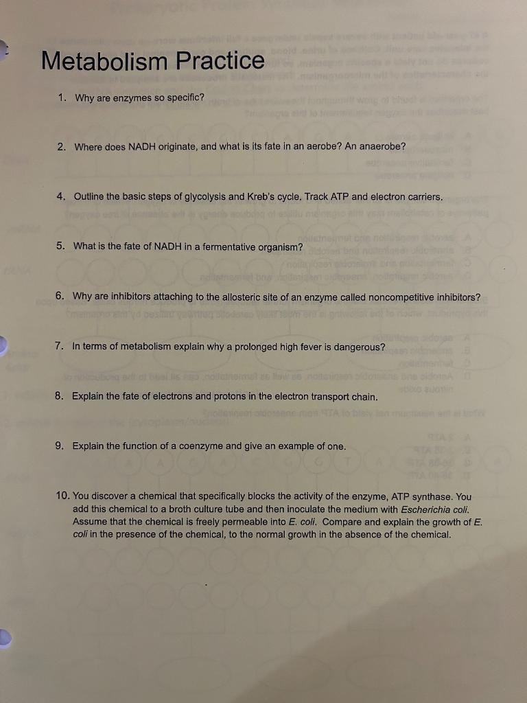 Solved Metabolism Practice 1. Why are enzymes so specific? | Chegg.com
