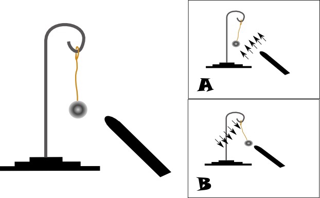 Solved 1. You have a charged rod and a "pith ball" (little | Chegg.com