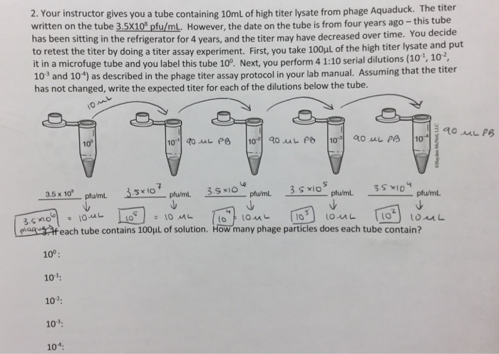 Solved Phage Titer Activity 1. You have isolated a phage and | Chegg.com