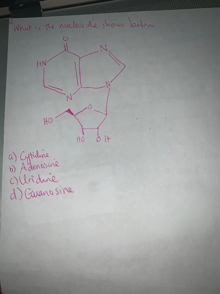 Solved What is the nucleoside shown below N HN ю Ho olt a) | Chegg.com