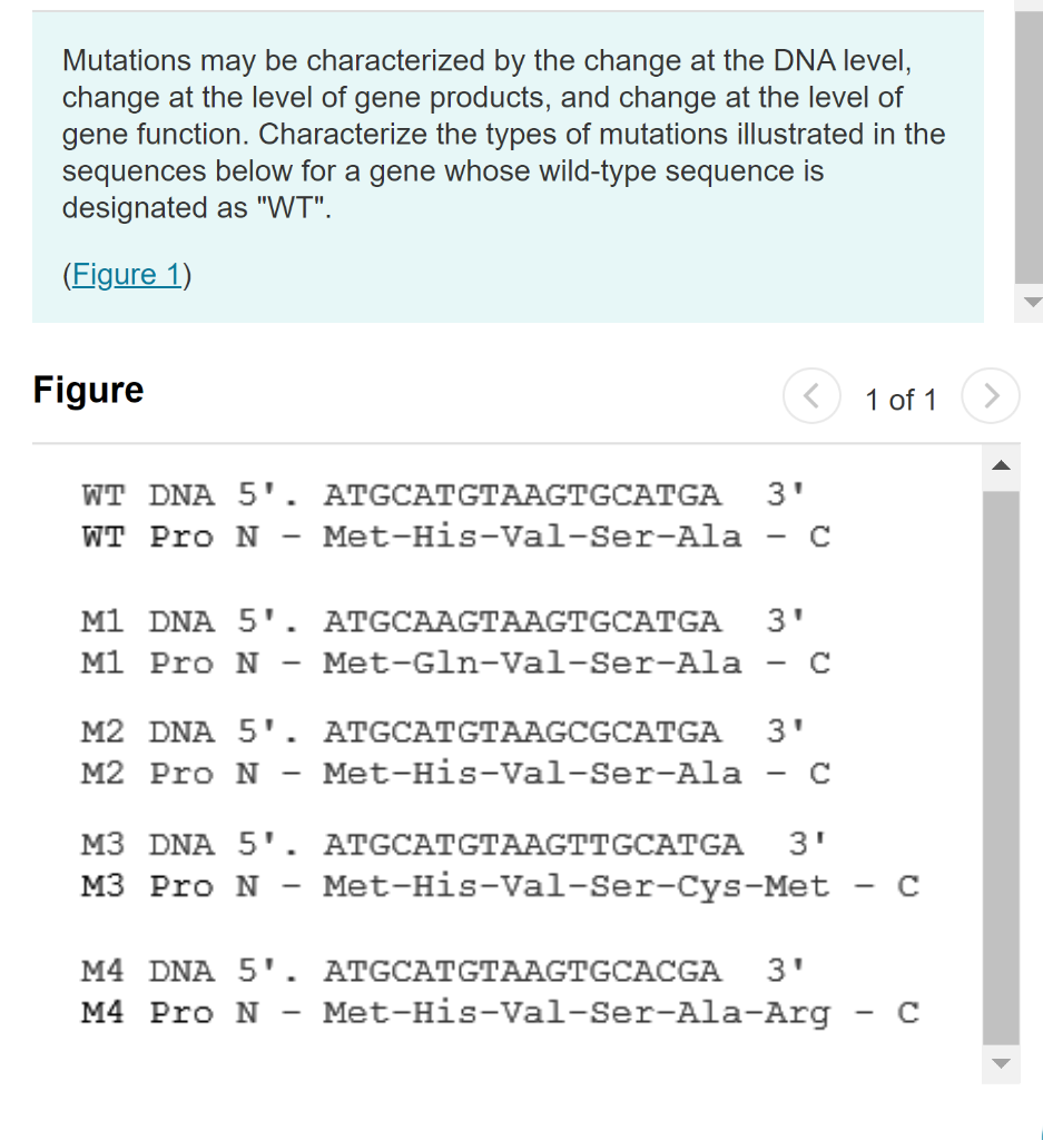 Select all mutation type descriptions that can be | Chegg.com