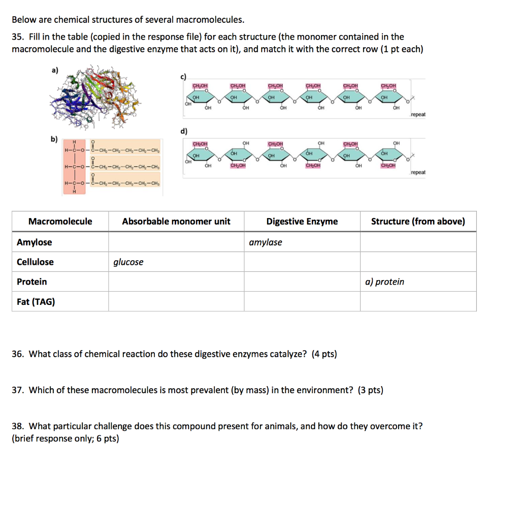 Solved Below are chemical structures of several | Chegg.com