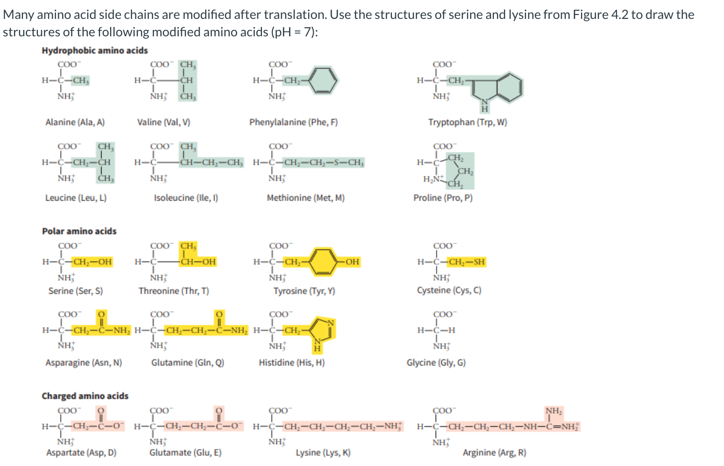 Solved = COO Many amino acid side chains are modified after | Chegg.com