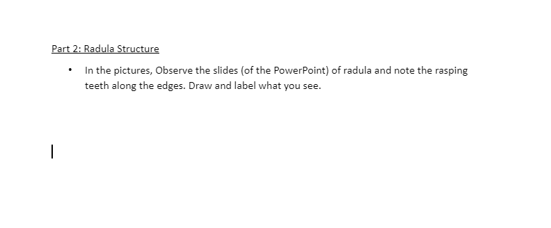 Solved Part 2: Radula Structure • In the pictures, Observe | Chegg.com