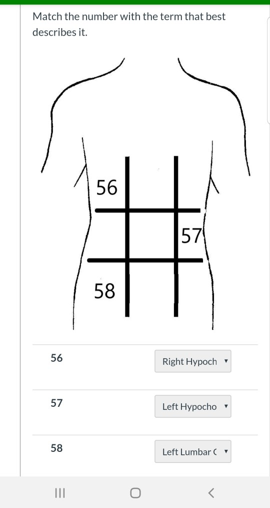 Solved Match the number with the term that best describes | Chegg.com