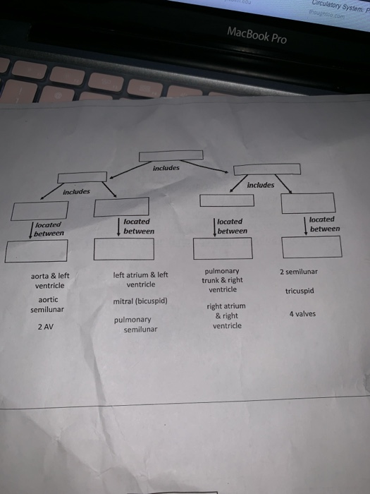 Solved being asked to -one complete 3 concept maps relate | Chegg.com