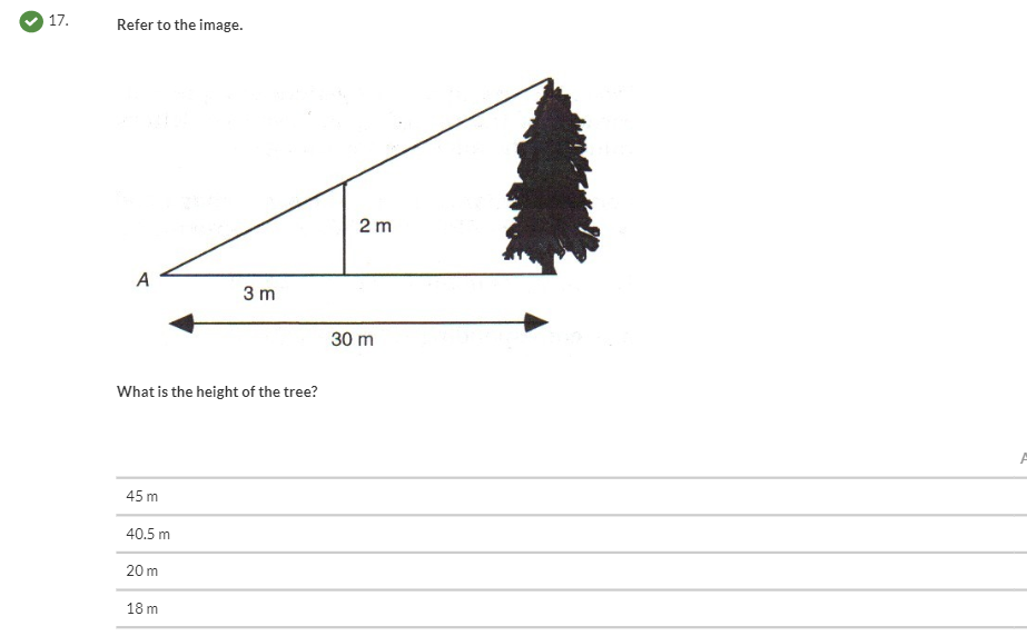 Solved REFER TO IMAGE, WHAT IS HEIGHT OF TREE STEPBY STE[ | Chegg.com