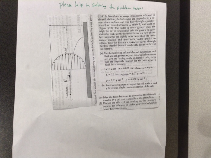 In flow-chamber assays of leukocyte adhesion to the | Chegg.com