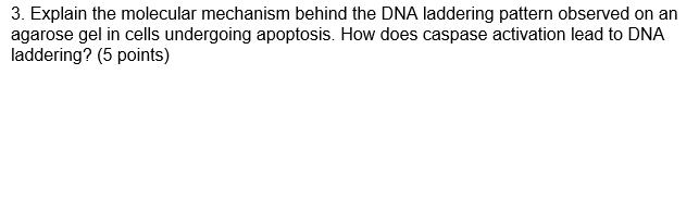 Solved 3. Explain the molecular mechanism behind the DNA | Chegg.com