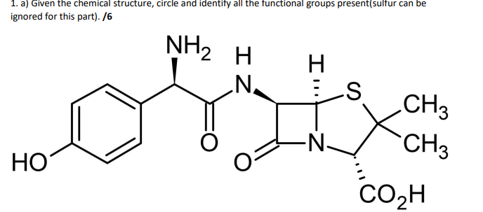 Solved 1. a) Given the chemical structure, circle and | Chegg.com