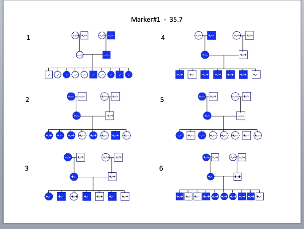 HUMAN GENE MAPPING LABORATORY For this lab, you will | Chegg.com