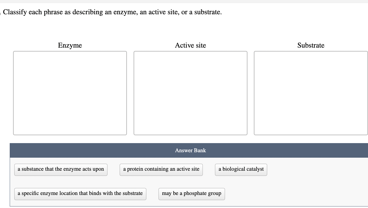 Solved Classify each phrase as describing an enzyme, an | Chegg.com