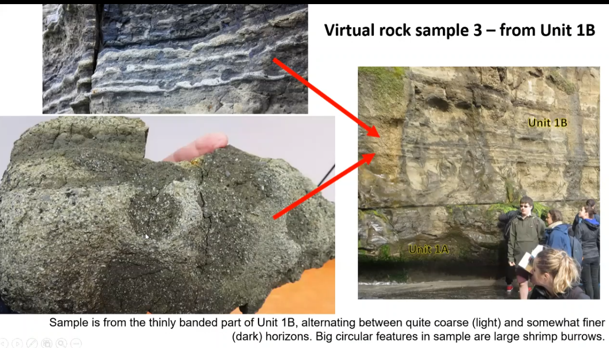 Solved C. Table of virtual rock sample descriptions - Fill | Chegg.com