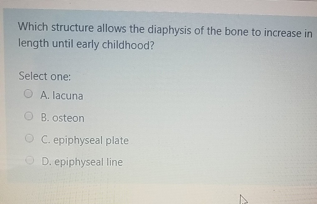 Solved Which structure allows the diaphysis of the bone to | Chegg.com