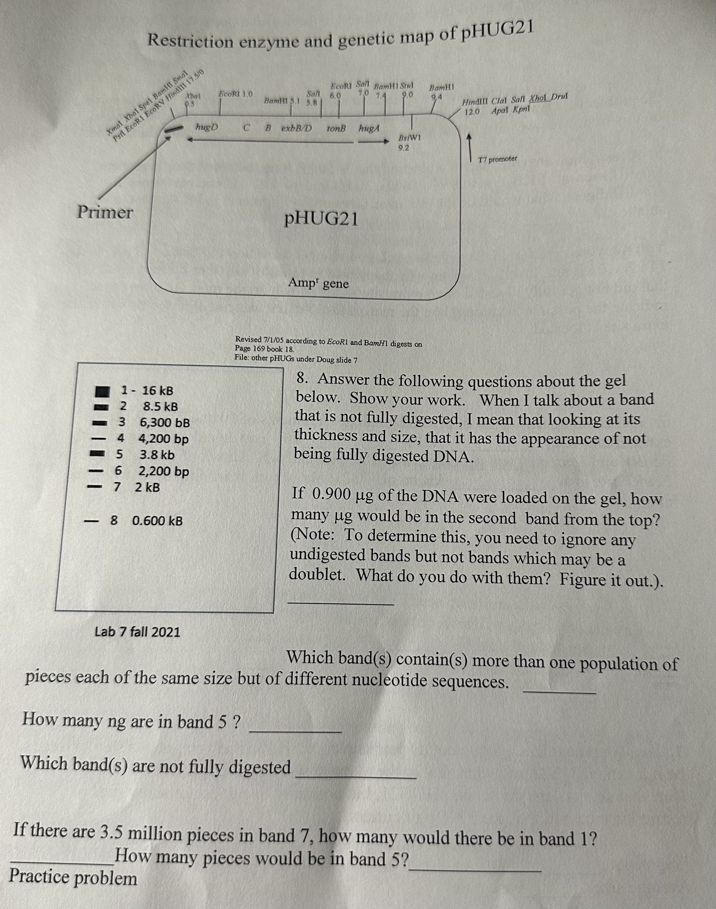 Solved Restriction enzyme and genetic map of pHUG21 Revised | Chegg.com