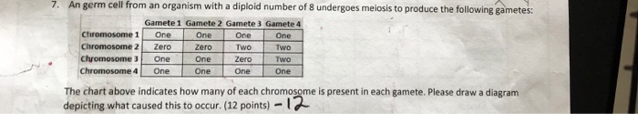 Solved 7. An an organism with a diploid number of 8 | Chegg.com