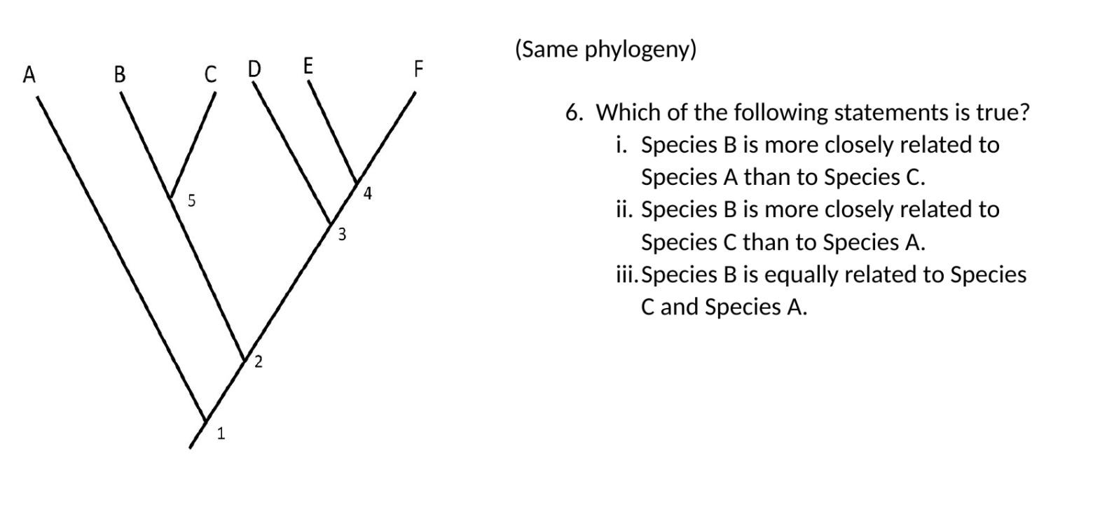 Solved (Same phylogeny) A B C D E F 4 5 6. Which of the | Chegg.com