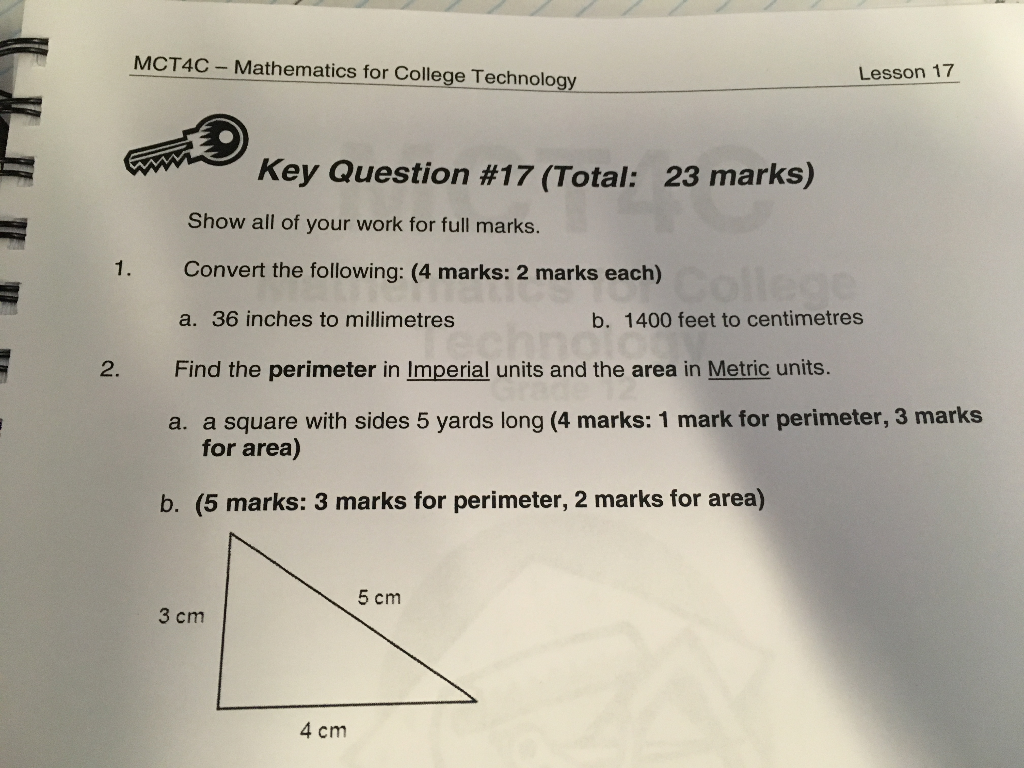 Solved MCT4C-Mathematics for College Technology Lesson 17 | Chegg.com