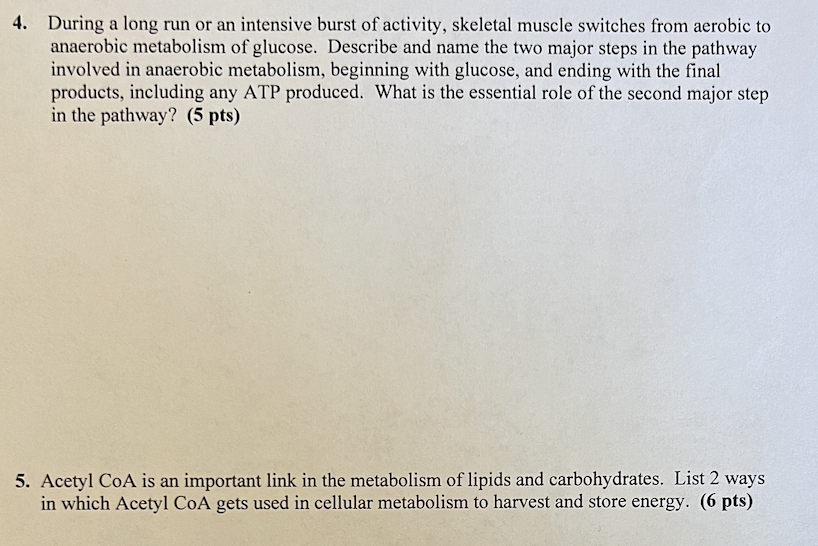 During a long run or an intensive burst of activity, | Chegg.com