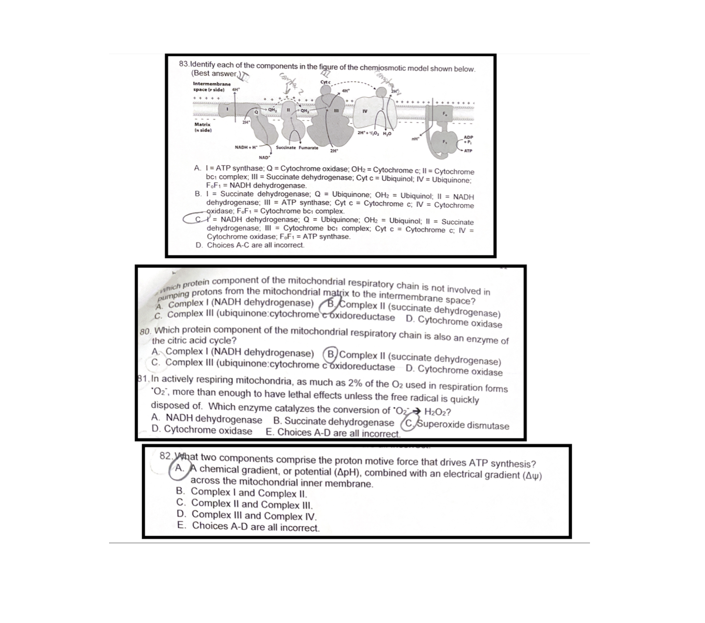 Solved FOR BIOCHEM: Can anyone help with these questions, | Chegg.com