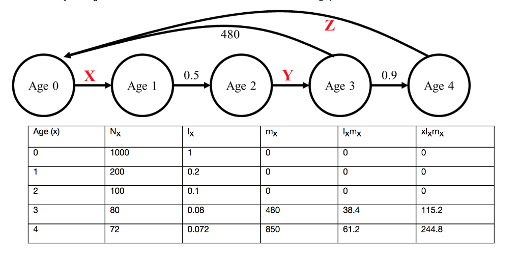 Solved Using the life cycle and table above, calculate R0. | Chegg.com