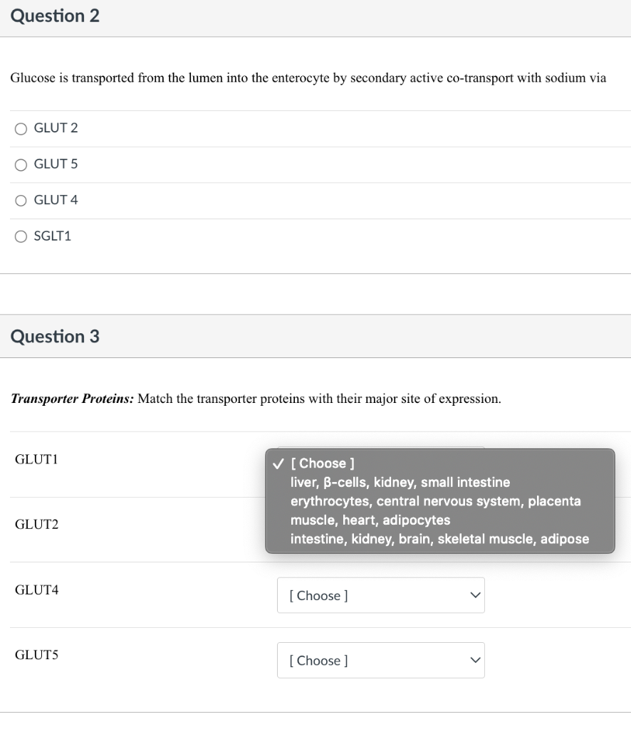 Solved Glucose is transported from the lumen into the | Chegg.com