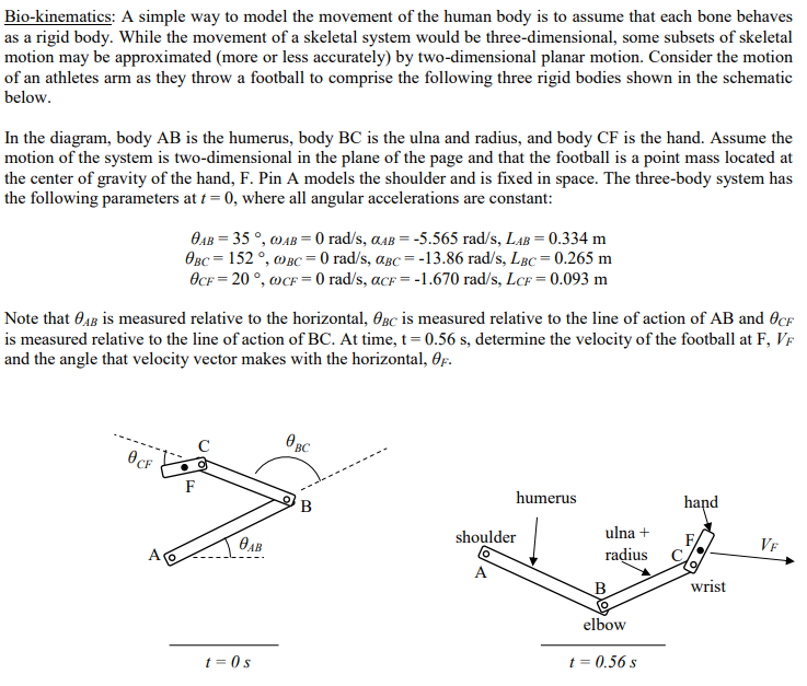Solved Bio-kinematics: A simple way to model the movement of | Chegg.com
