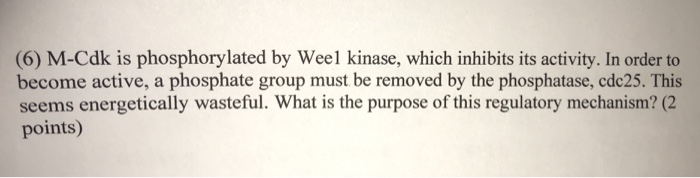Solved (6) M-Cdk is phosphorylated by Weel kinase, which | Chegg.com